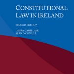 Constitutional Law in Ireland - DH国際書房DH国際書房