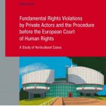 Fundamental Rights Violations by Private Actors and The Procedure ...